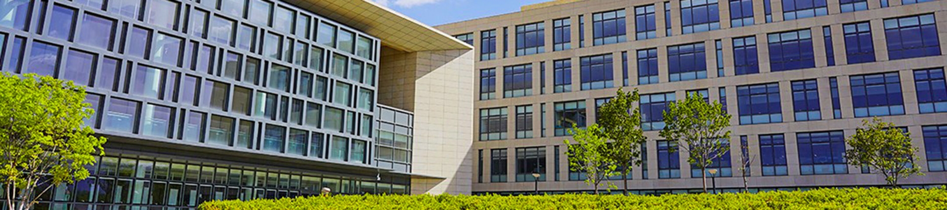 AISD - Tsinghua International School
